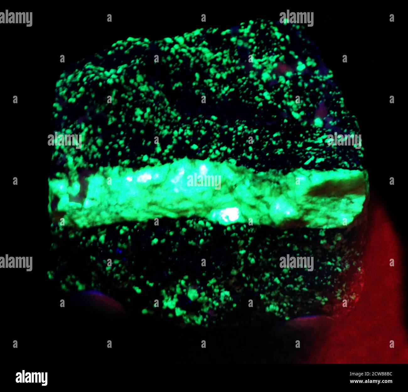 Sample of Willemite glowing under U.V. light Stock Photo - Alamy