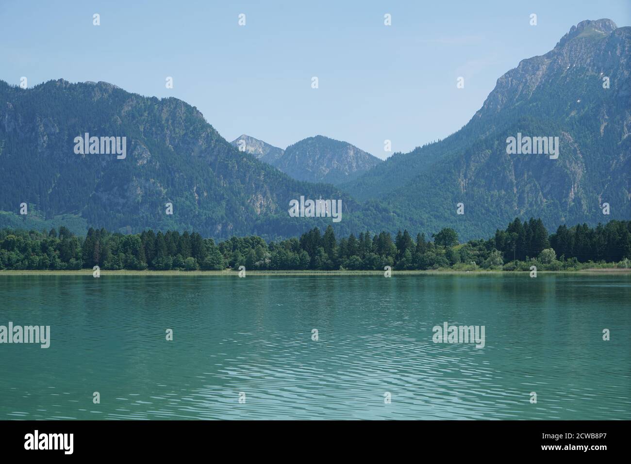 Beautiful view of Forggensee with Neuschwanstein Castle seen in the ...