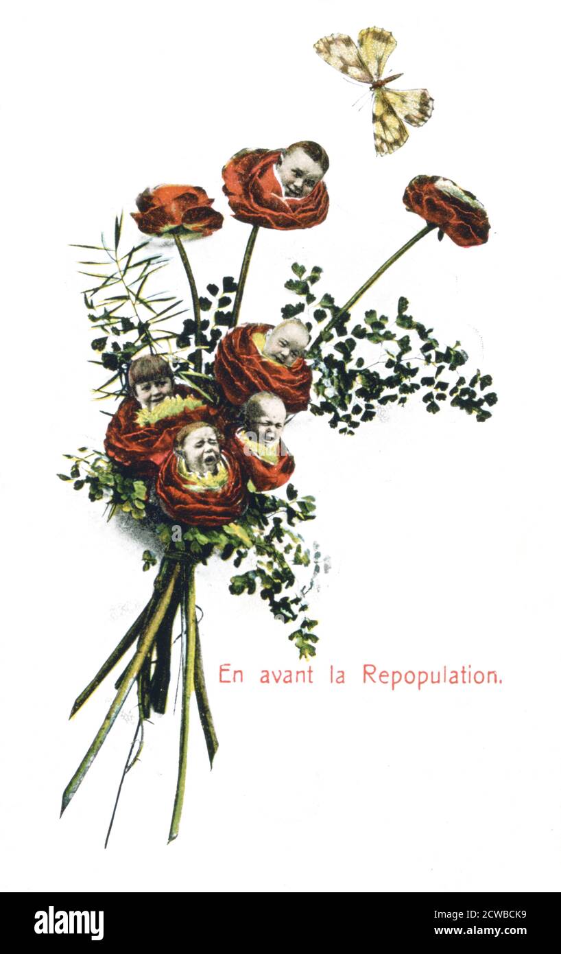 Repopulation hi-res stock photography and images - Alamy