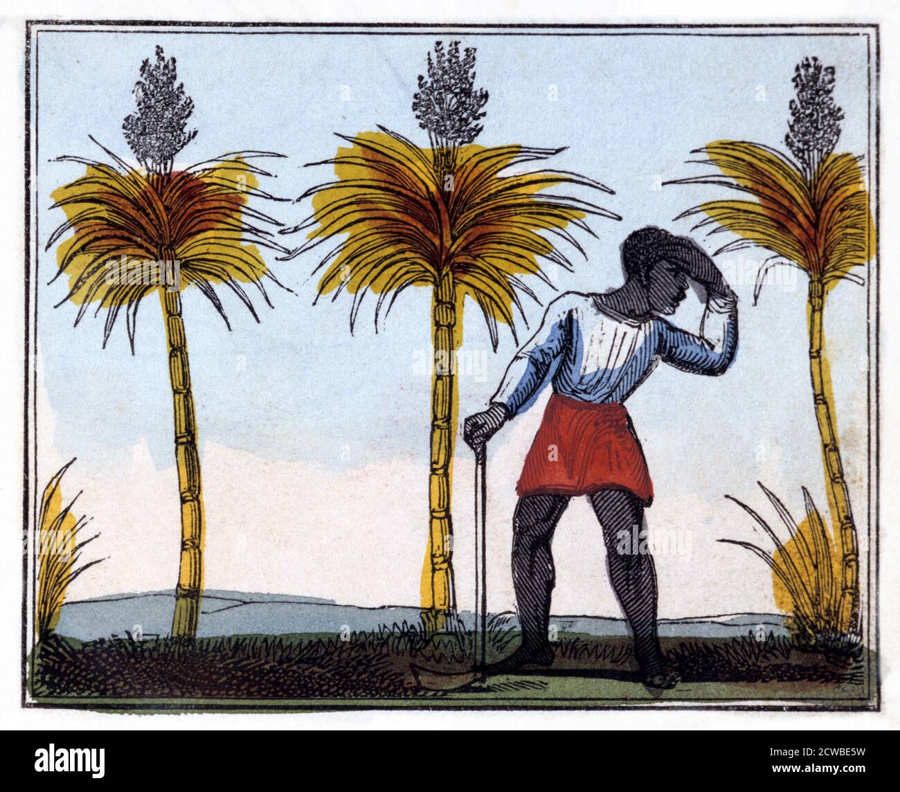 Sugar cane plantation history hi-res stock photography and images - Alamy