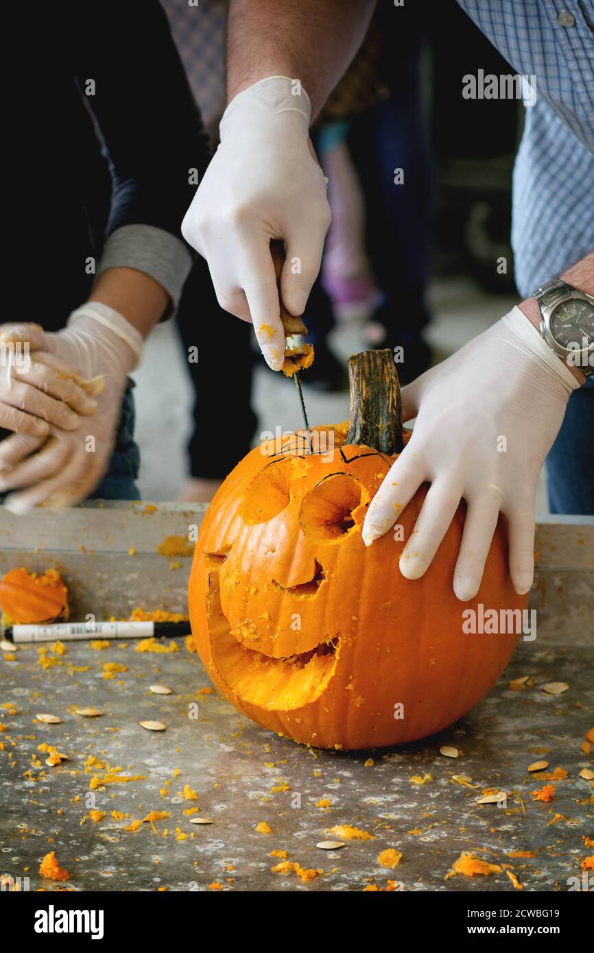 Process of Making Halloween pumpkins. Hands in rubber gloves sliced the ...