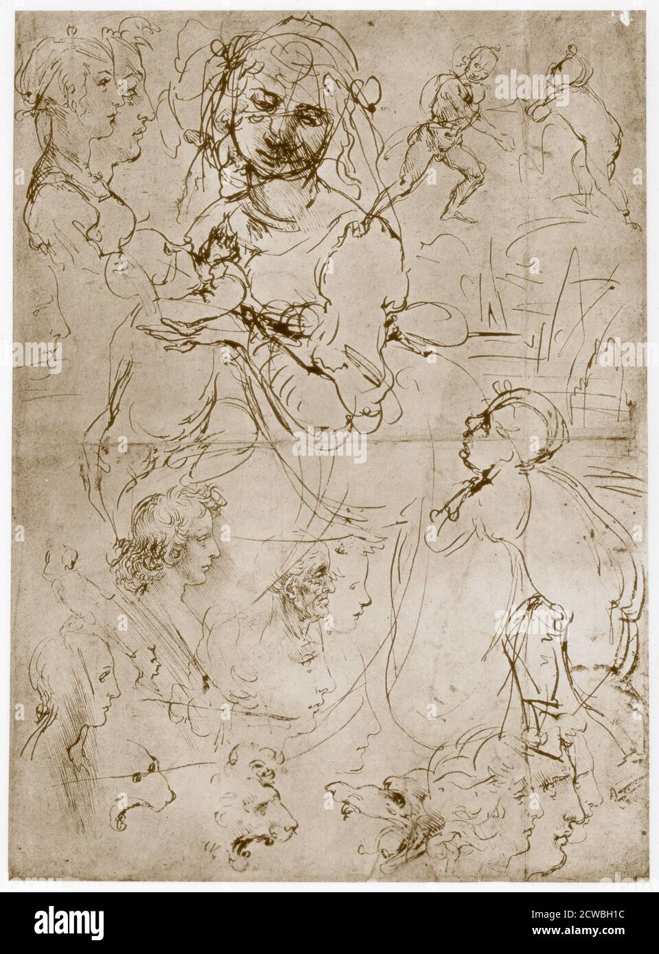 Studies For A Madonna With A Cat By Leonardo Da Vinci, 60% OFF