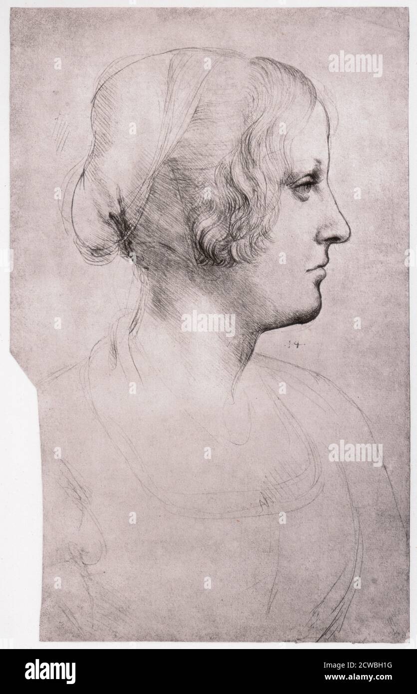 Portrait of a Girl with a Cap' by Leonardo da Vinci, 1493-1495. From ...