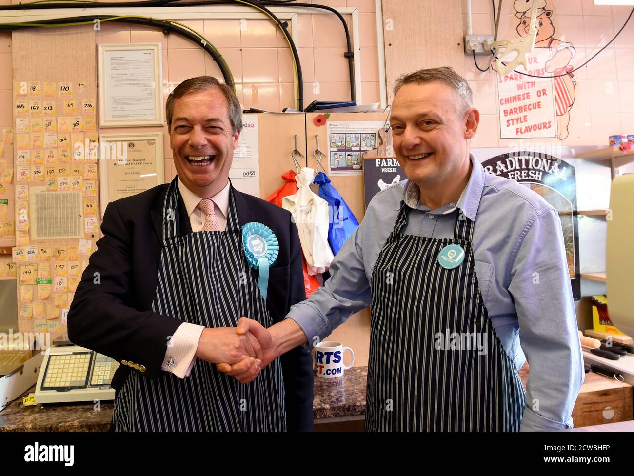 Photograph of Nigel Farage. Nigel Paul Farage (1964-) a British ...