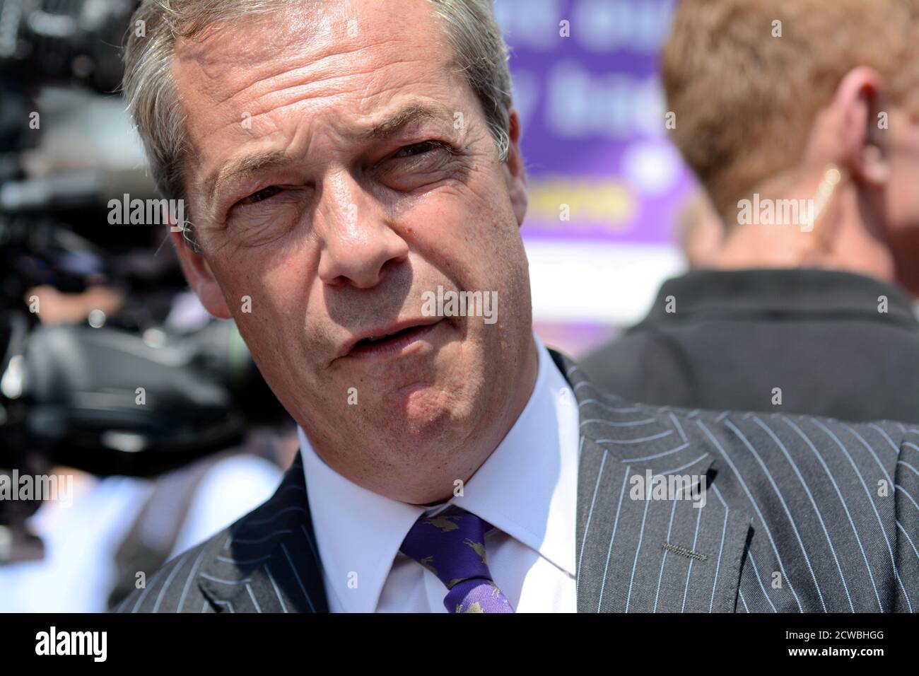Photograph of Nigel Farage. Nigel Paul Farage (1964-) a British ...
