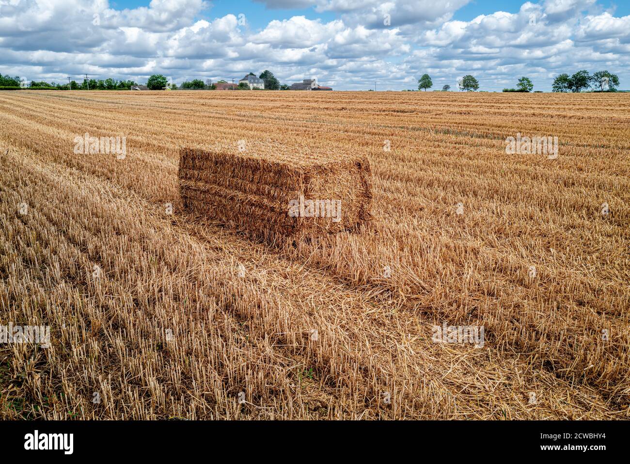 Haystack on a wheat field under a cloudy sky in Essex, the UK Stock ...