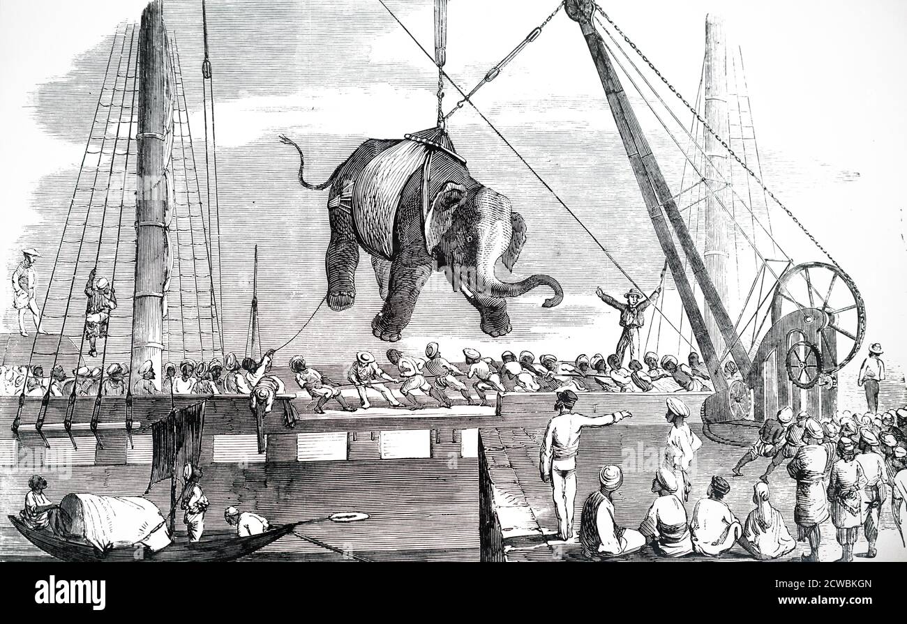 19th century engraving elephant ship hi-res stock photography and ...