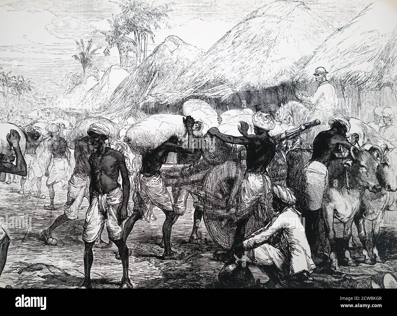 Engraving depicting famine in Bengal: Malnourished men load bullock ...