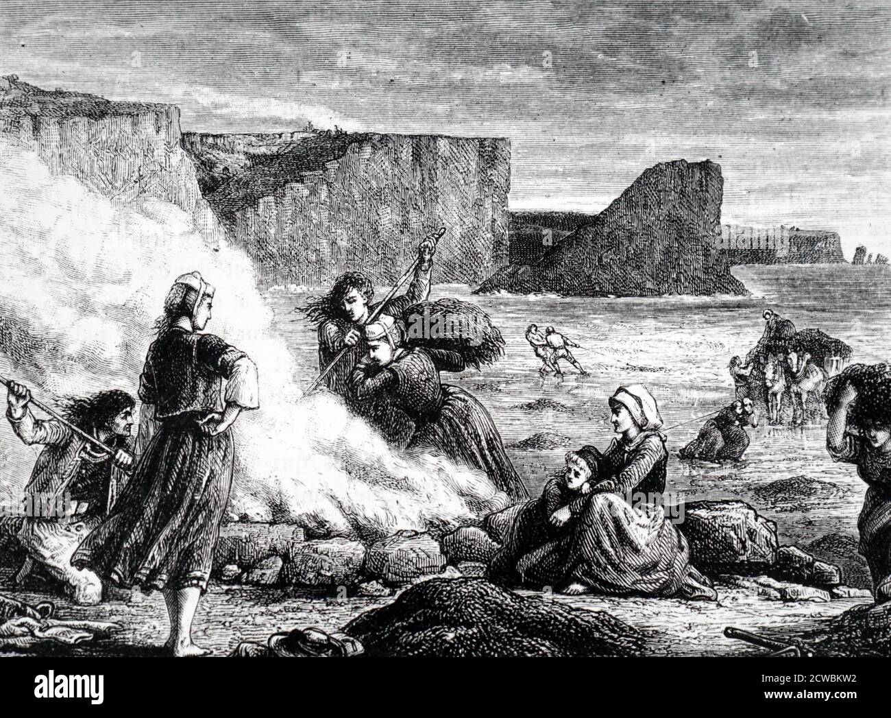 Engraving depicting the burning of kelp on the Brittany coast to obtain ...
