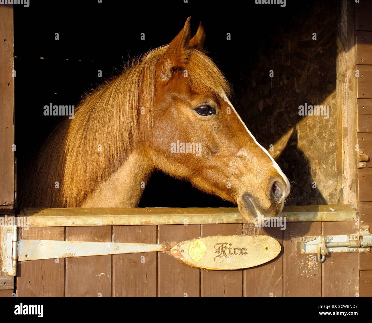 Horse behind stable door hi-res stock photography and images - Alamy