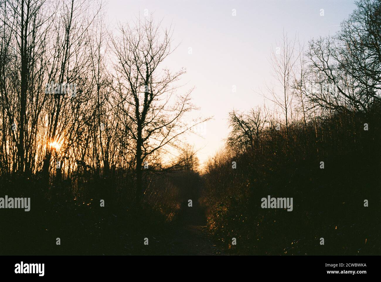 Cloudless sunset hi-res stock photography and images - Alamy