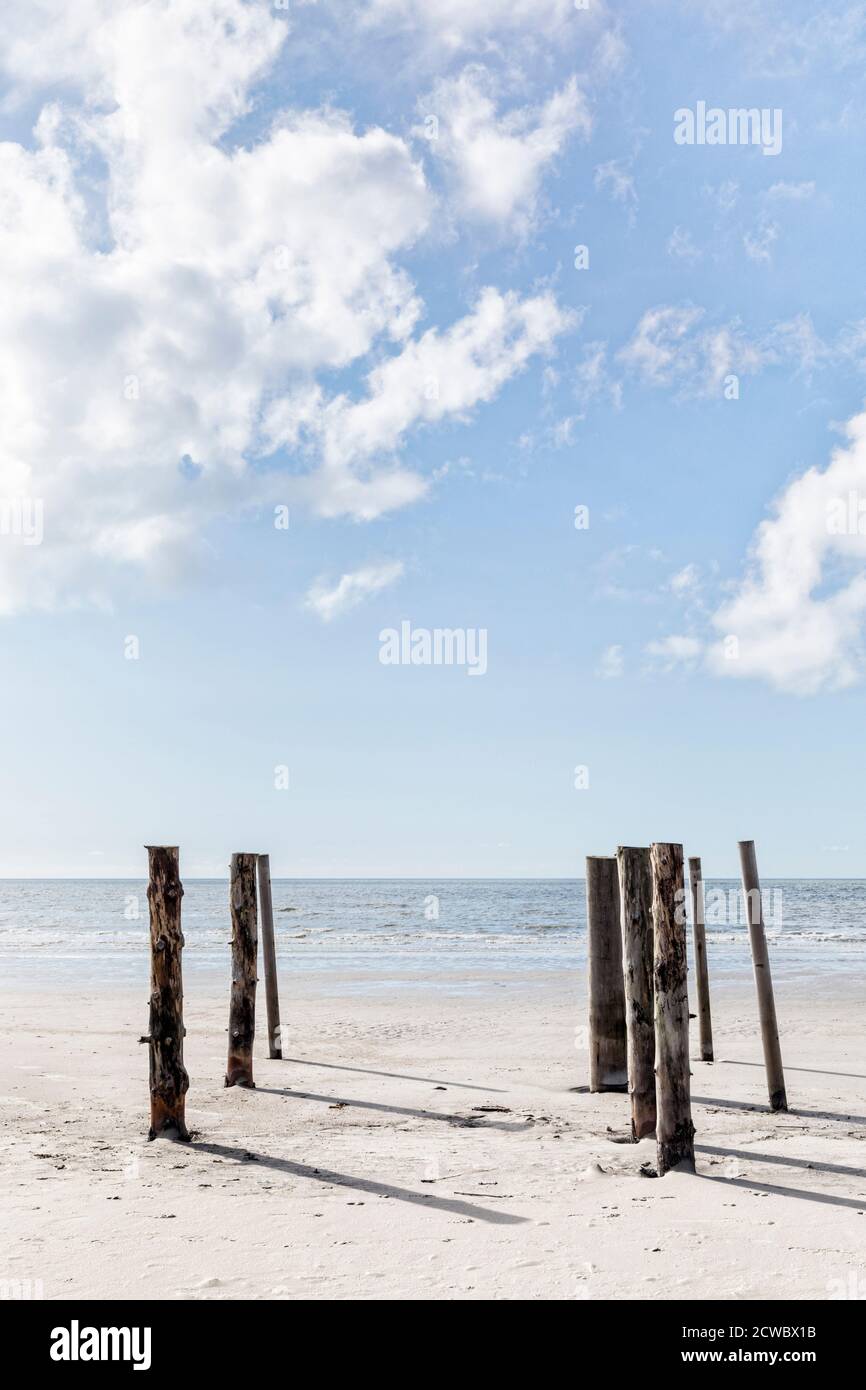 Wooden poles on a North Sea beach Stock Photo - Alamy