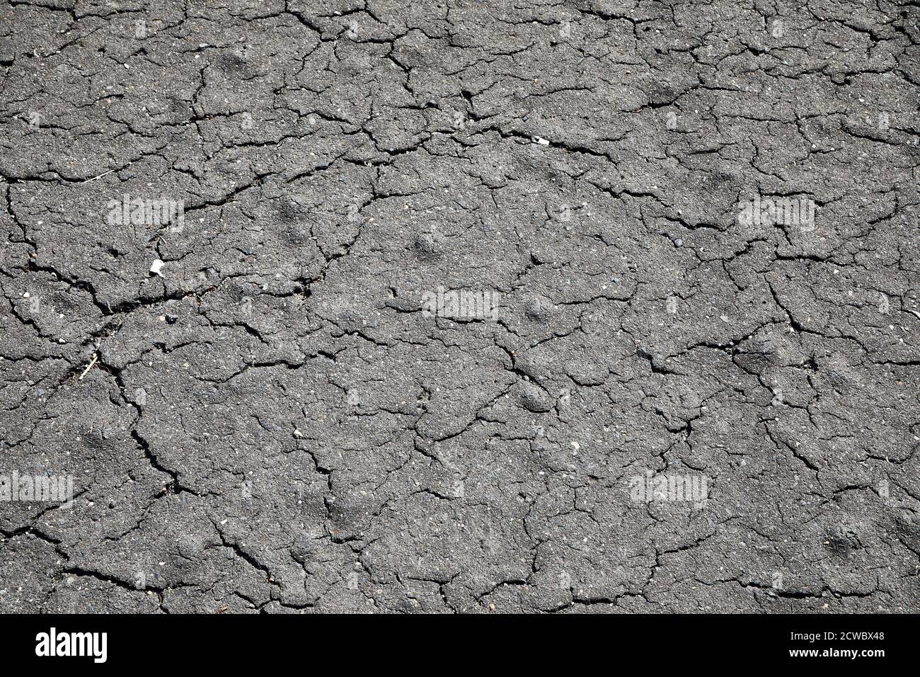 Cracked asphalt texture hi-res stock photography and images - Alamy