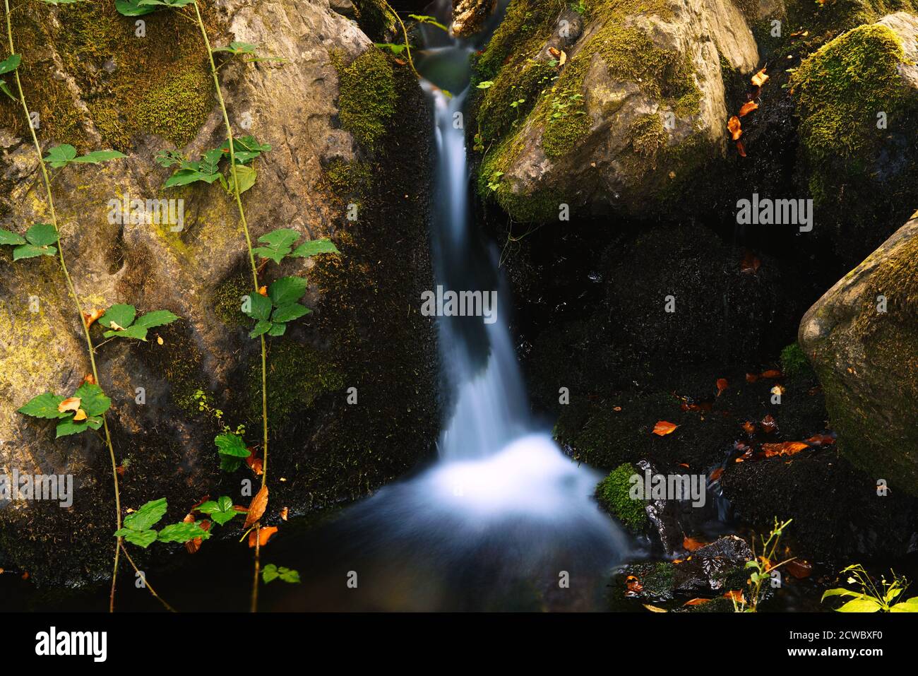 Bathing cascade hi-res stock photography and images - Alamy