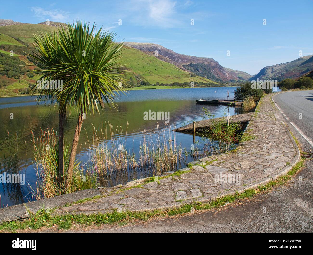 Lake Tal-y-lln North Wales with palm tree mountains and sun Stock Photo ...