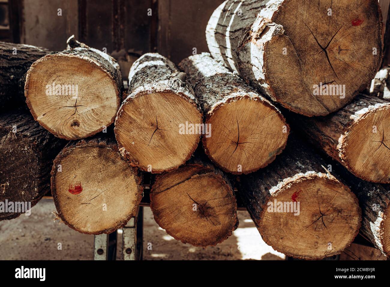 Wooden natural sawn logs as background, top view, flat lay Stock Photo ...