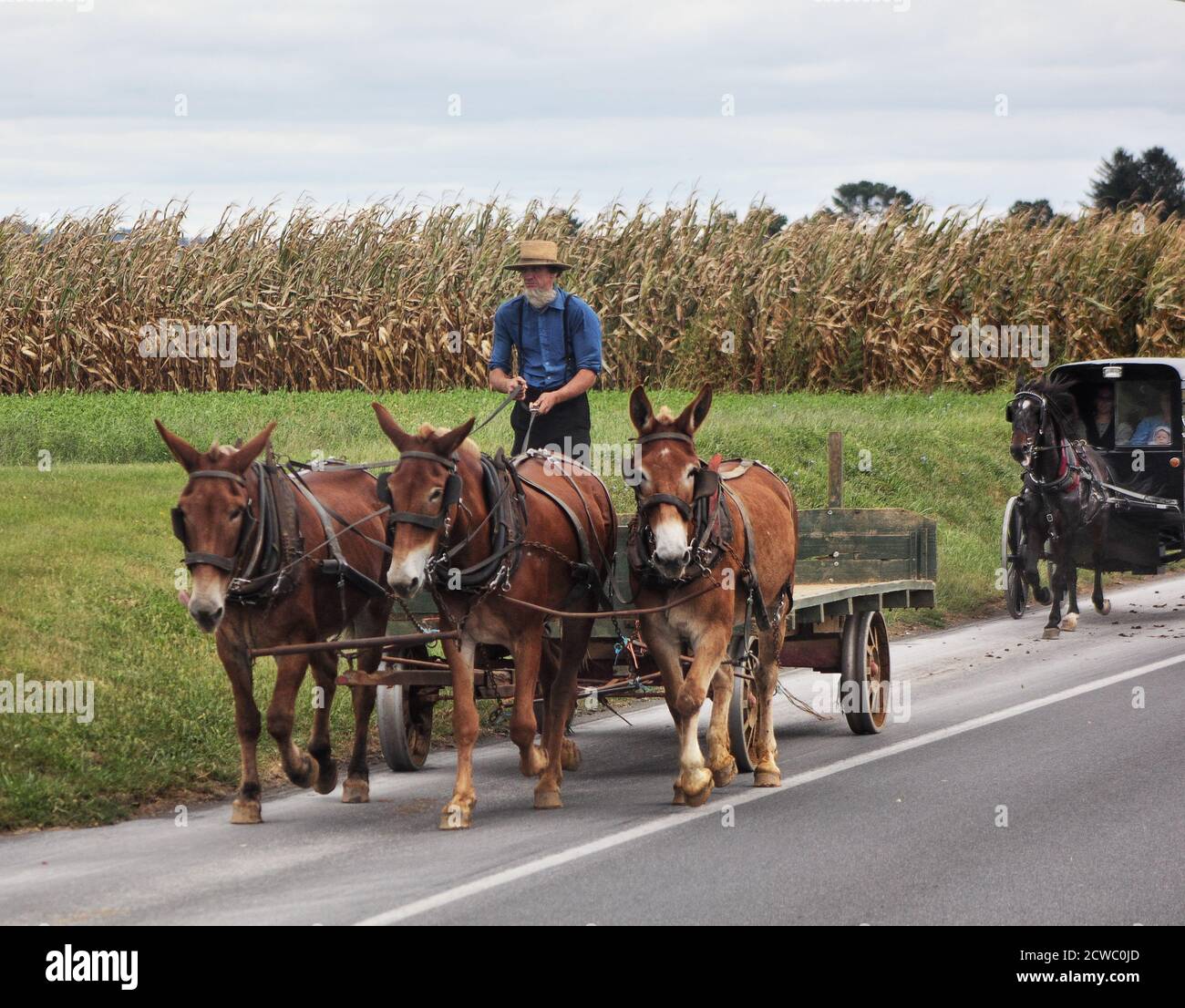 Amish way of life hi-res stock photography and images - Alamy
