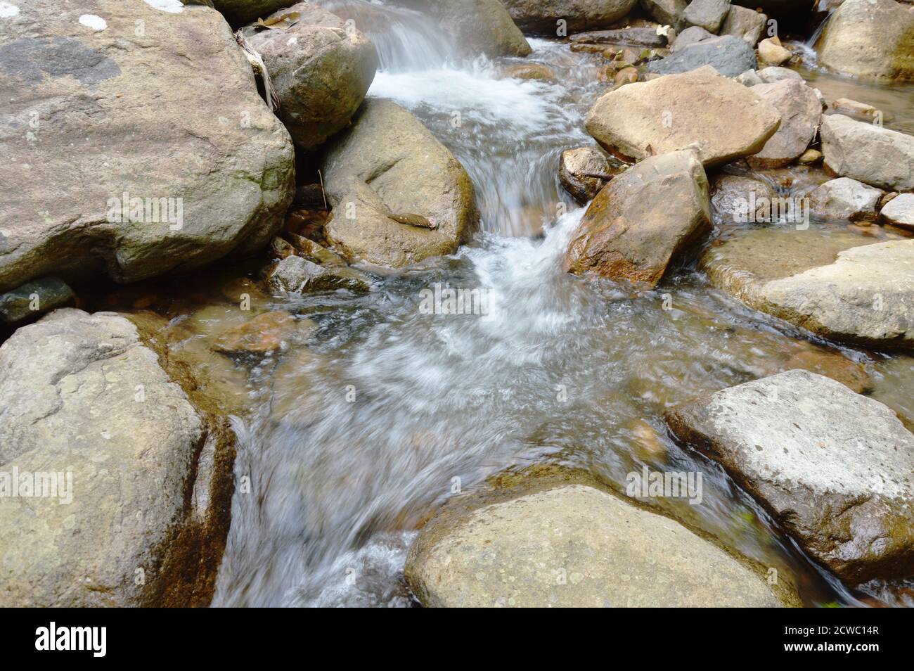 water run through river pass rock and stone in forest Stock Photo - Alamy