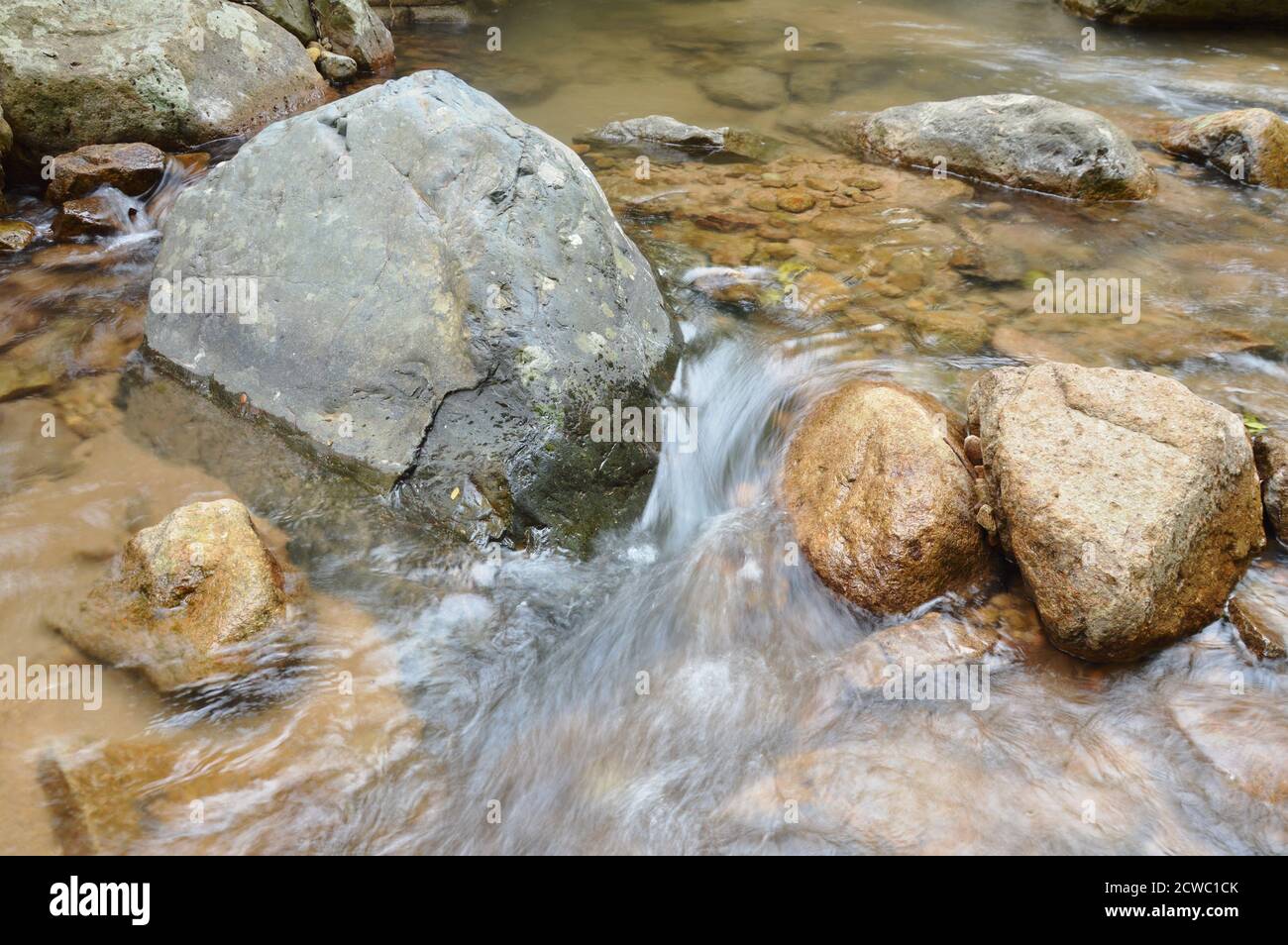 water run through river pass rock and stone in forest Stock Photo - Alamy