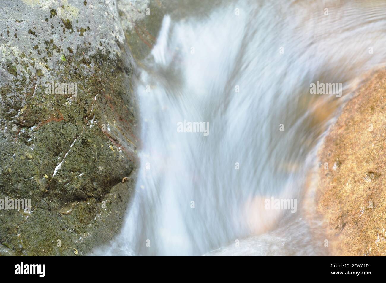 water run through river pass rock and stone in forest Stock Photo - Alamy