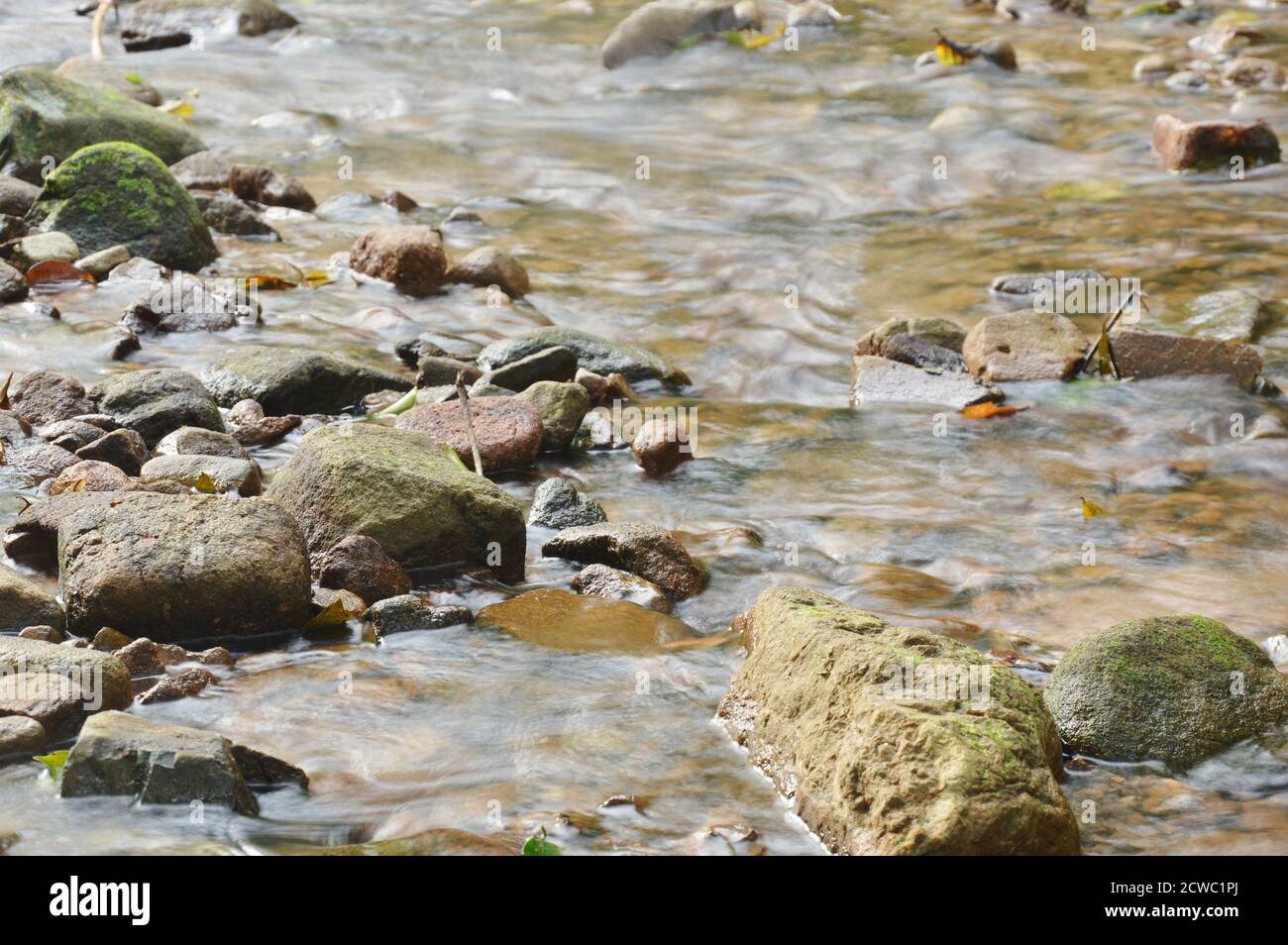 water run through river pass rock and stone in forest Stock Photo - Alamy