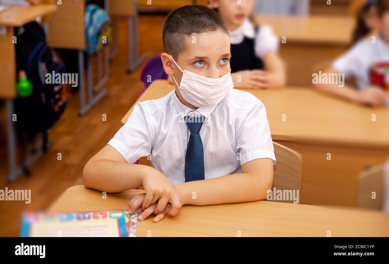 Elementary students attending a class in the classroom. Education Stock ...
