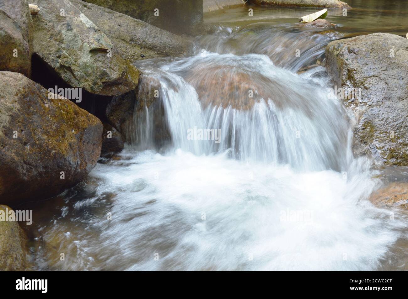 water run through river pass rock and stone in forest Stock Photo - Alamy