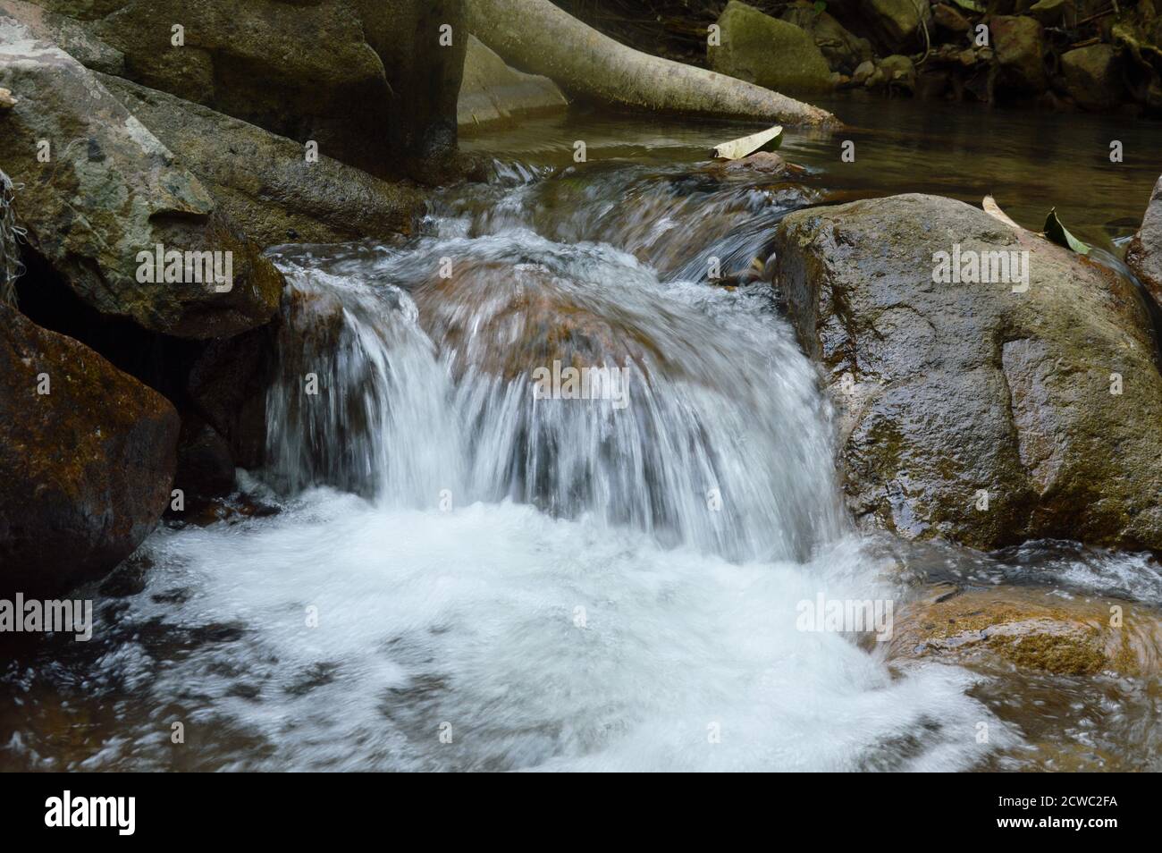 water run through river pass rock and stone in forest Stock Photo - Alamy
