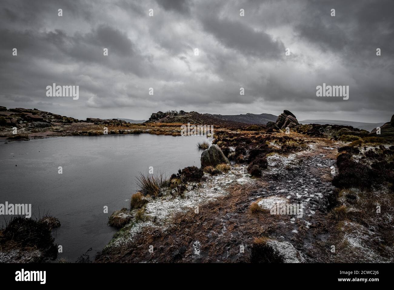 Doxey pool roaches hi-res stock photography and images - Alamy