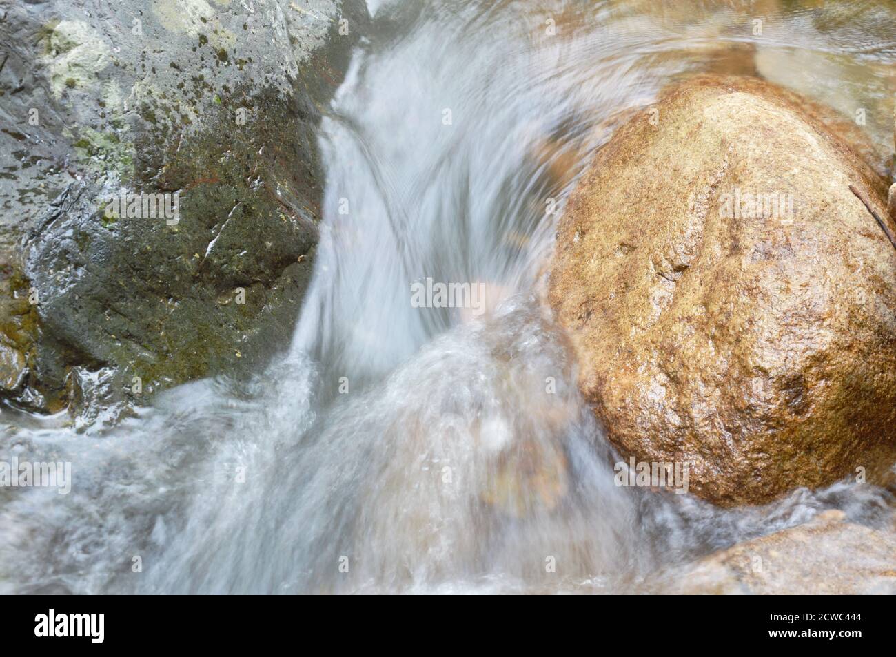 water run through river pass rock and stone in forest Stock Photo - Alamy
