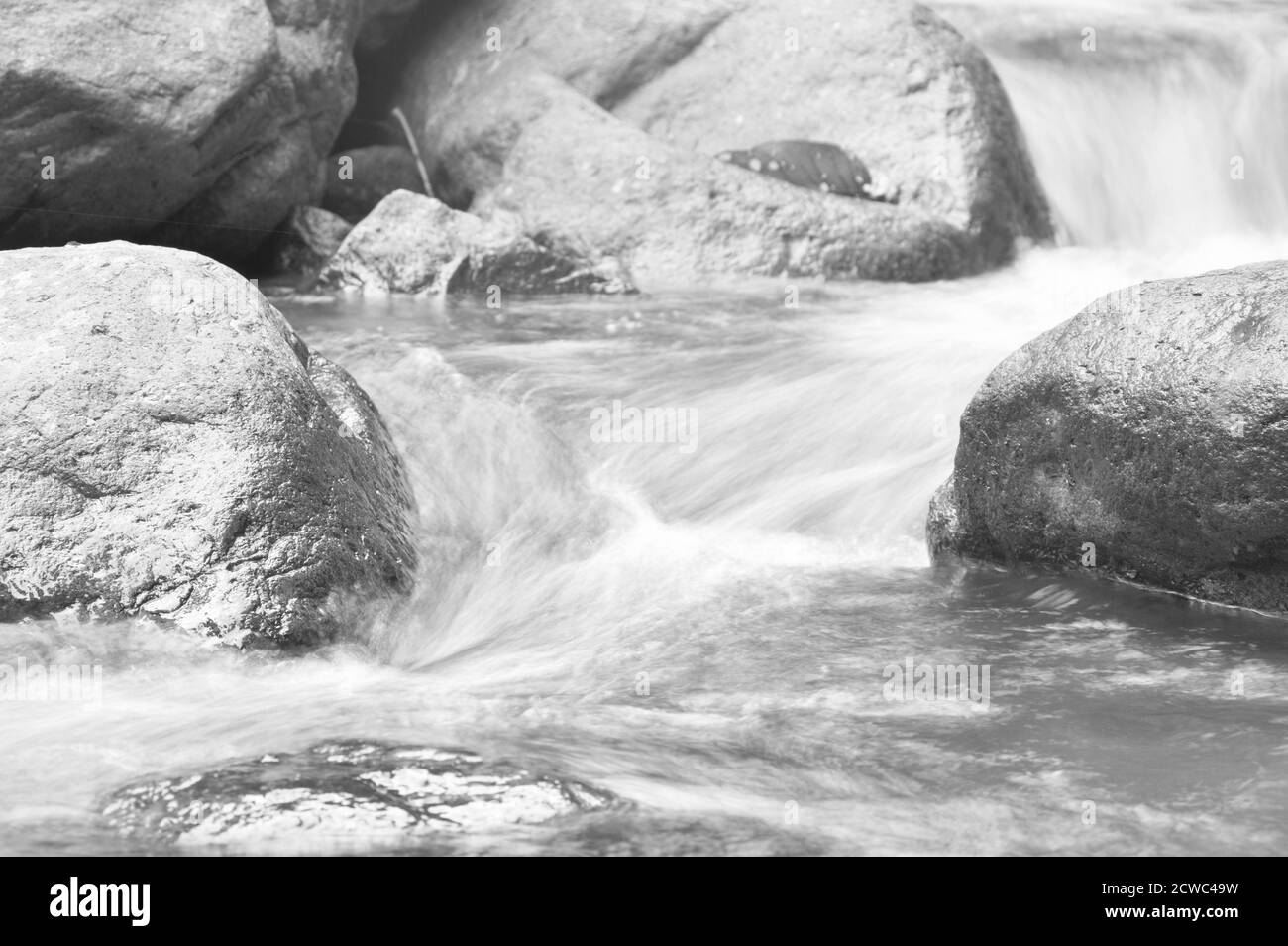 water run through river pass rock and stone in forest Stock Photo - Alamy