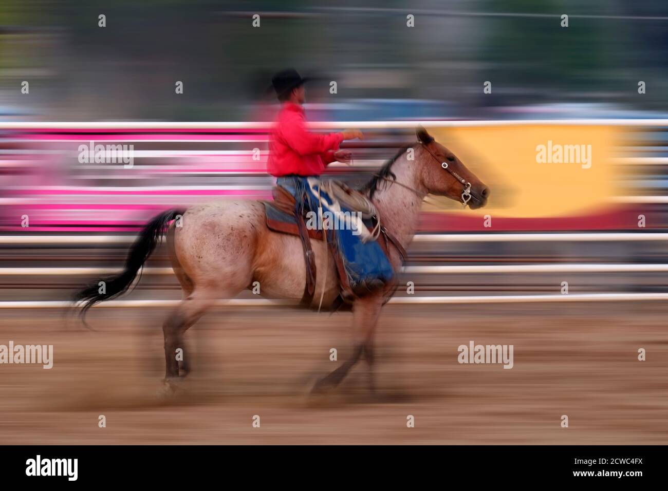 Cowboy riding horse fast blurry speed in rodeo arena Stock Photo - Alamy