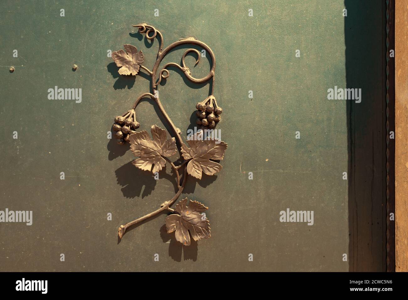 wrought-iron grille showing the vines in Eger, Hungary Stock Photo - Alamy