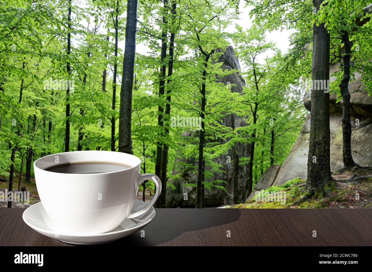 Cup of black coffee on wooden table with view of green forest, tree and ...