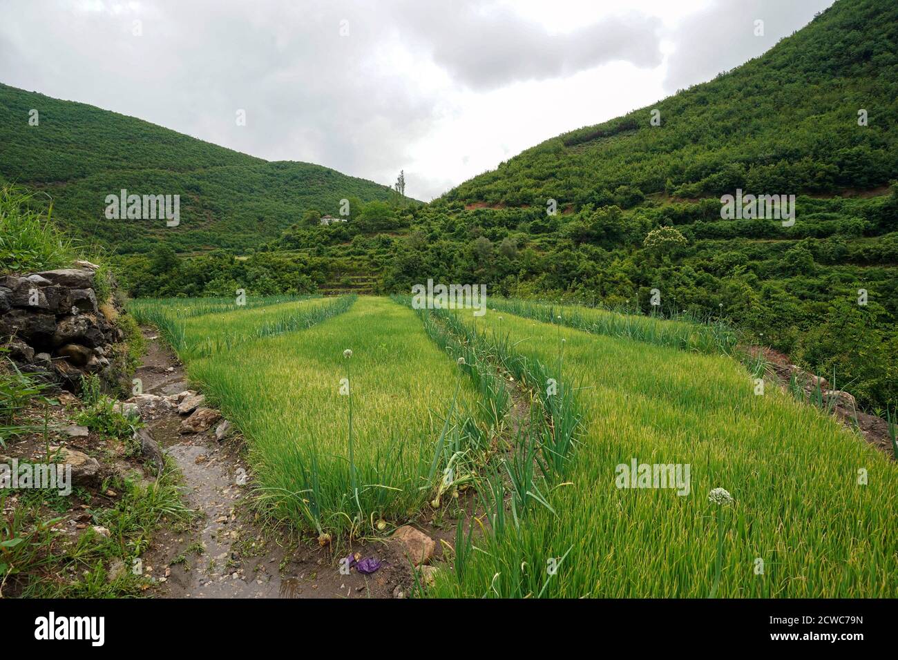 Maranai park hi-res stock photography and images - Alamy