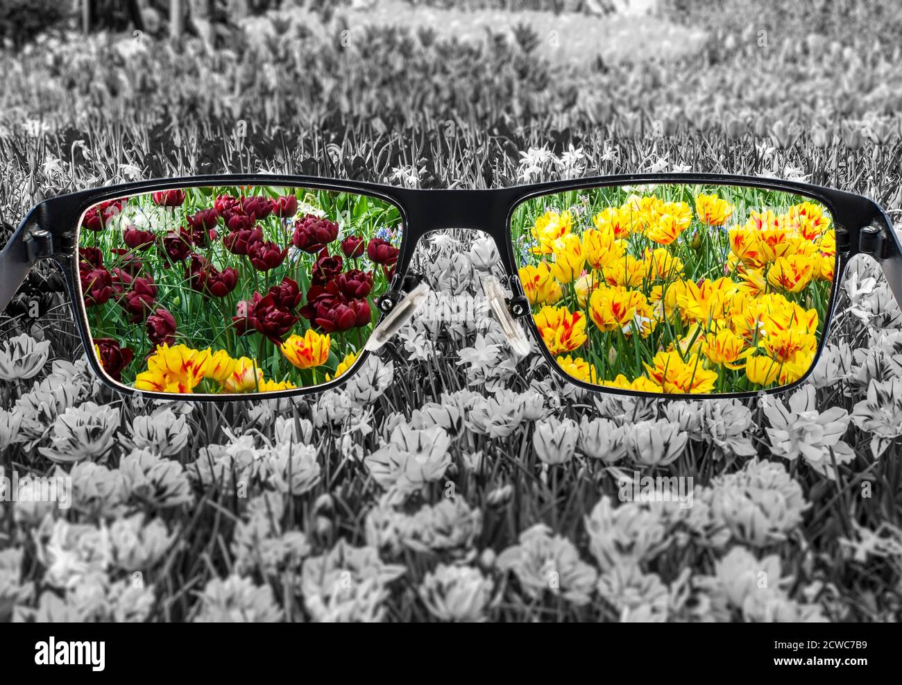 World vision poster hi-res stock photography and images - Alamy