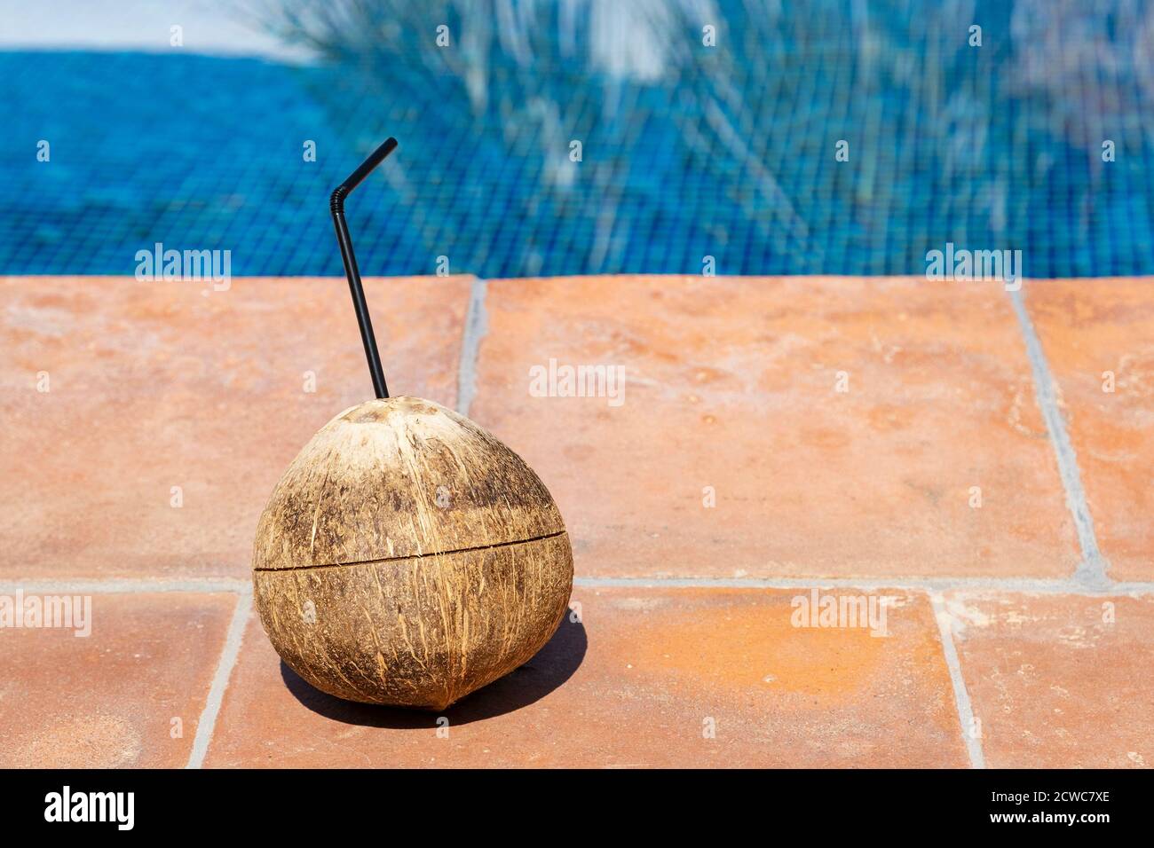 Coconut nut with drinking straw near the swimming pool. Space for text ...