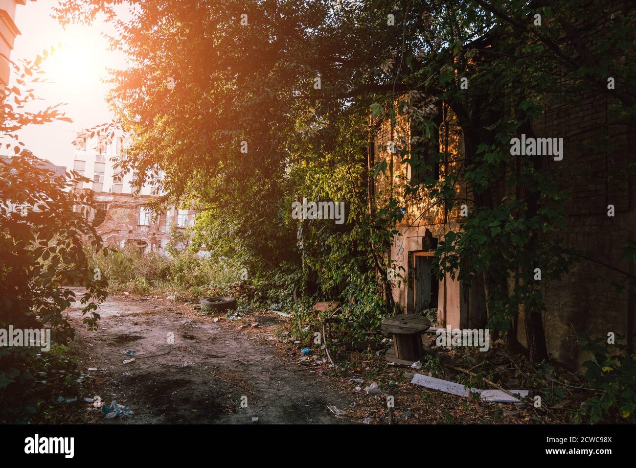Old abandoned overgrown houses in ghost town Stock Photo - Alamy