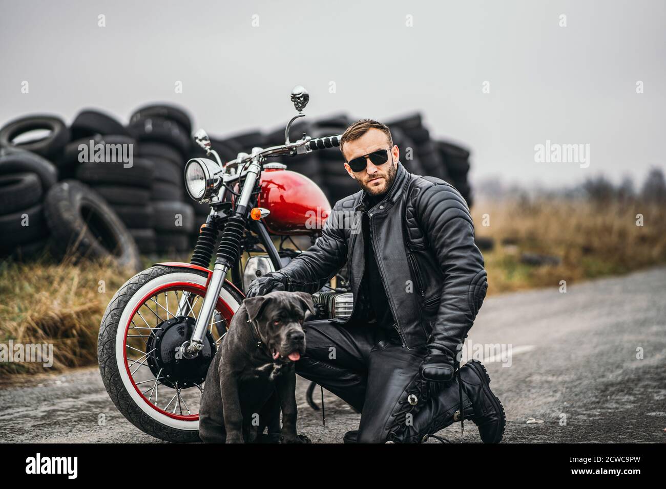 Chopper the biker dog hi-res stock photography and images - Alamy