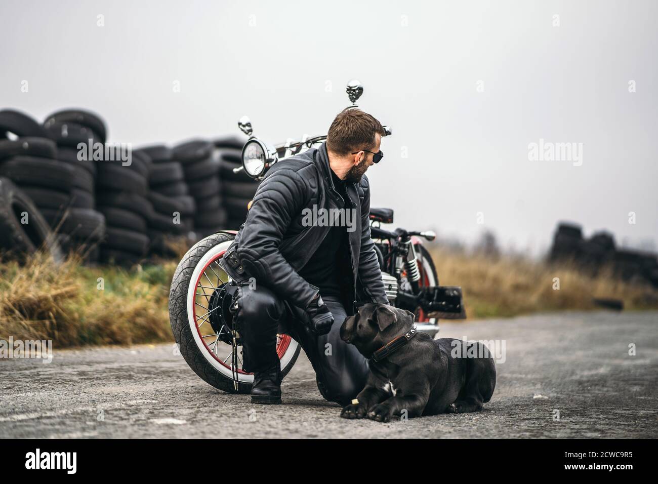 Chopper the biker dog hi-res stock photography and images - Alamy