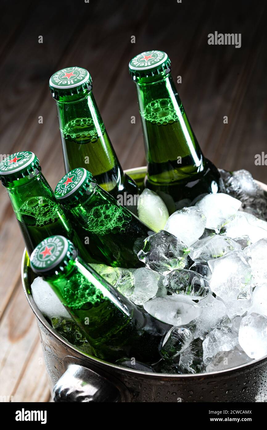 Chilled glass bottles of beer Stock Photo - Alamy