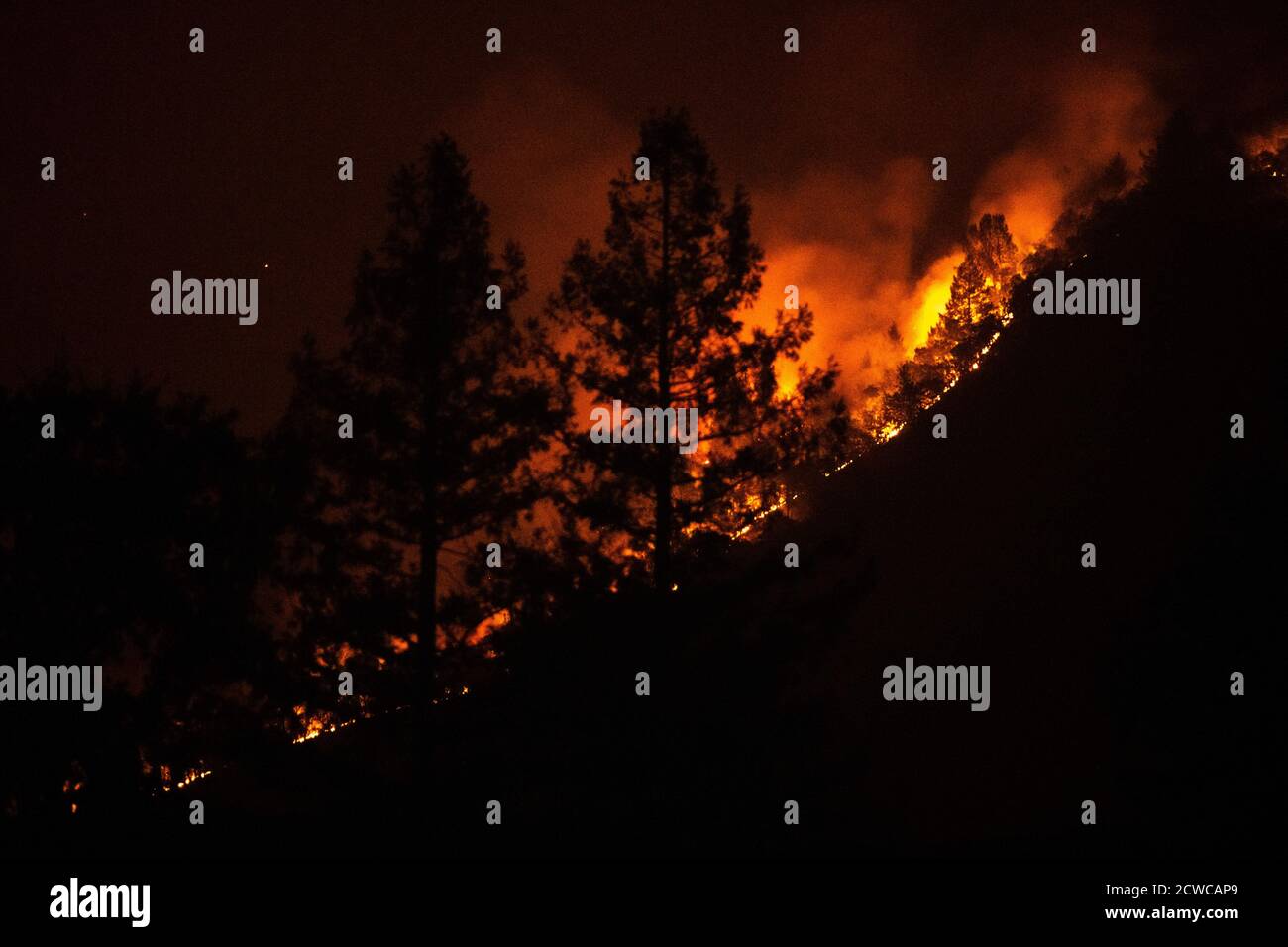 Calistoga, United States. 28th Sep, 2020. CALISTOGA, CA - SEPTEMBER 28 ...