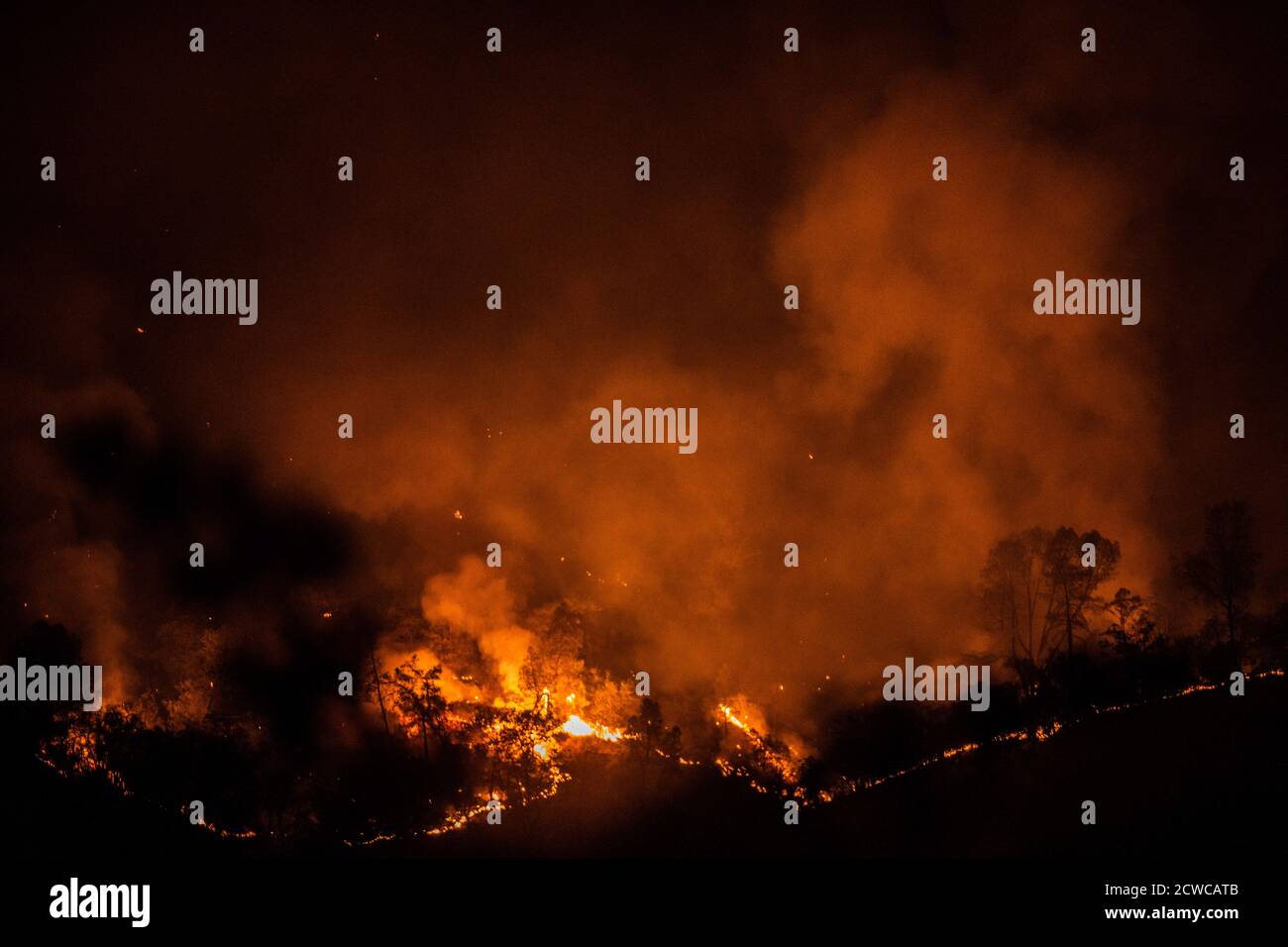 Calistoga, United States. 28th Sep, 2020. CALISTOGA, CA - SEPTEMBER 28 ...