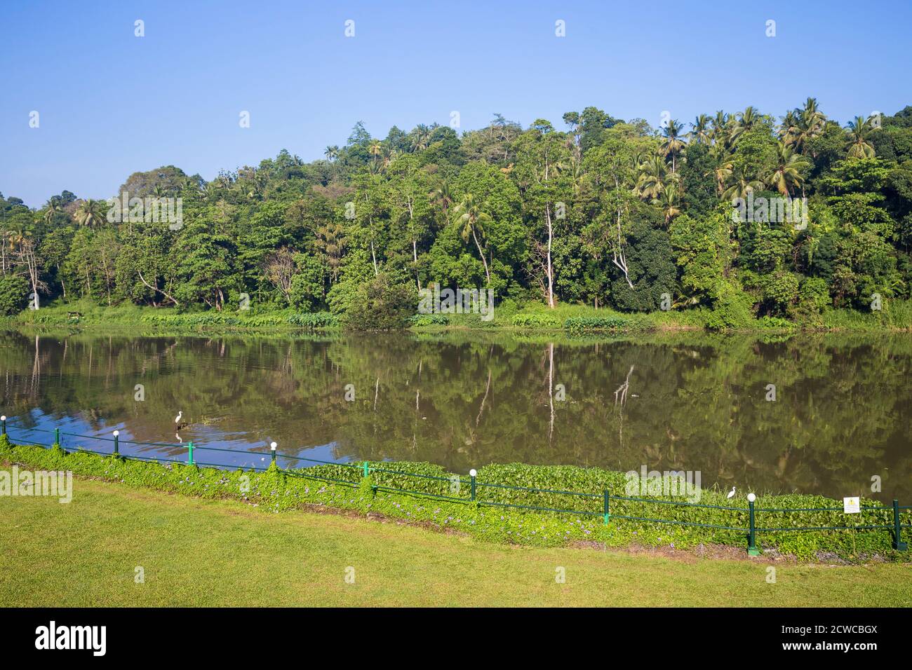Sri Lanka, Kandy, Mahaweli River Stock Photo - Alamy