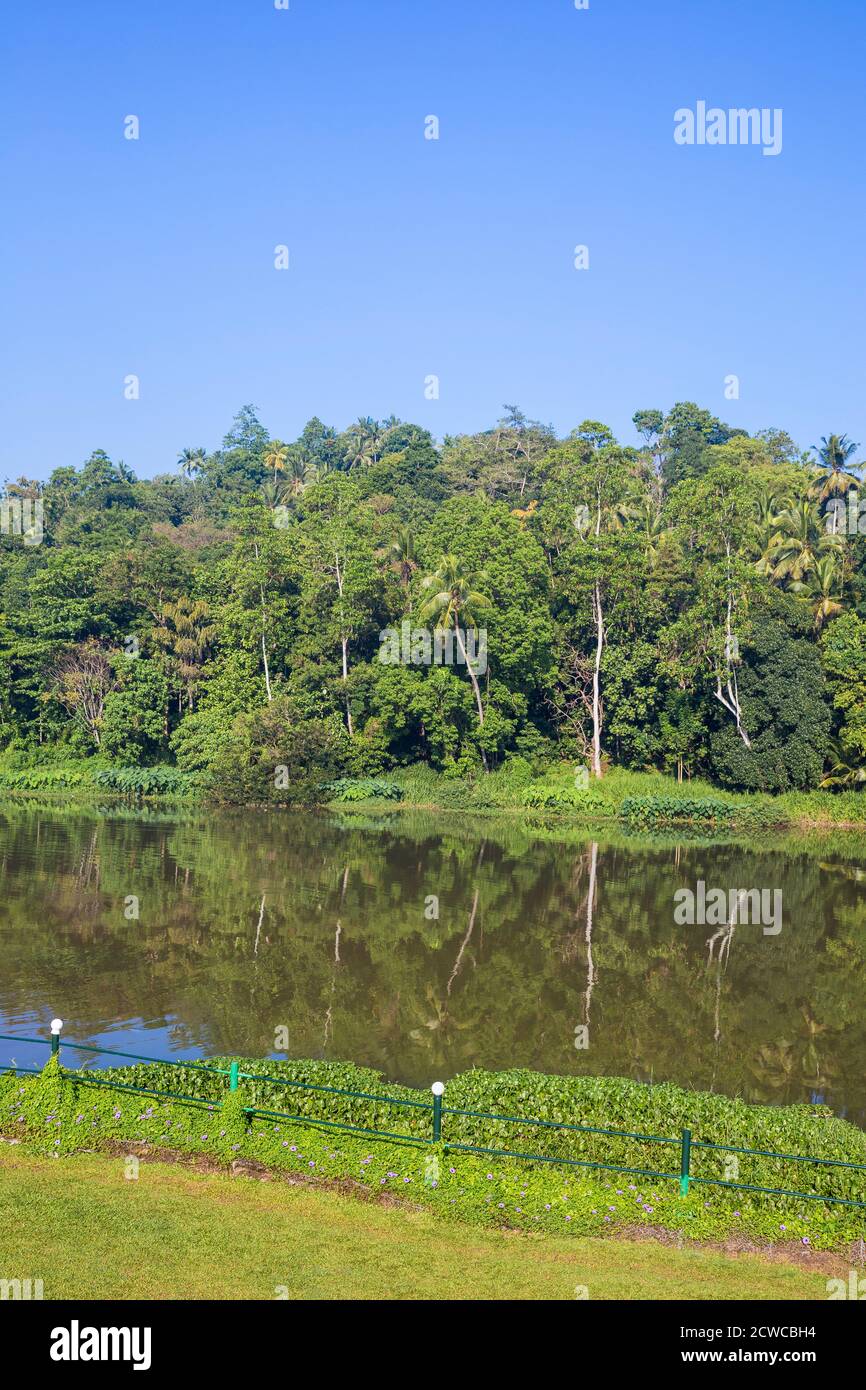 Mahaweli river hi-res stock photography and images - Alamy