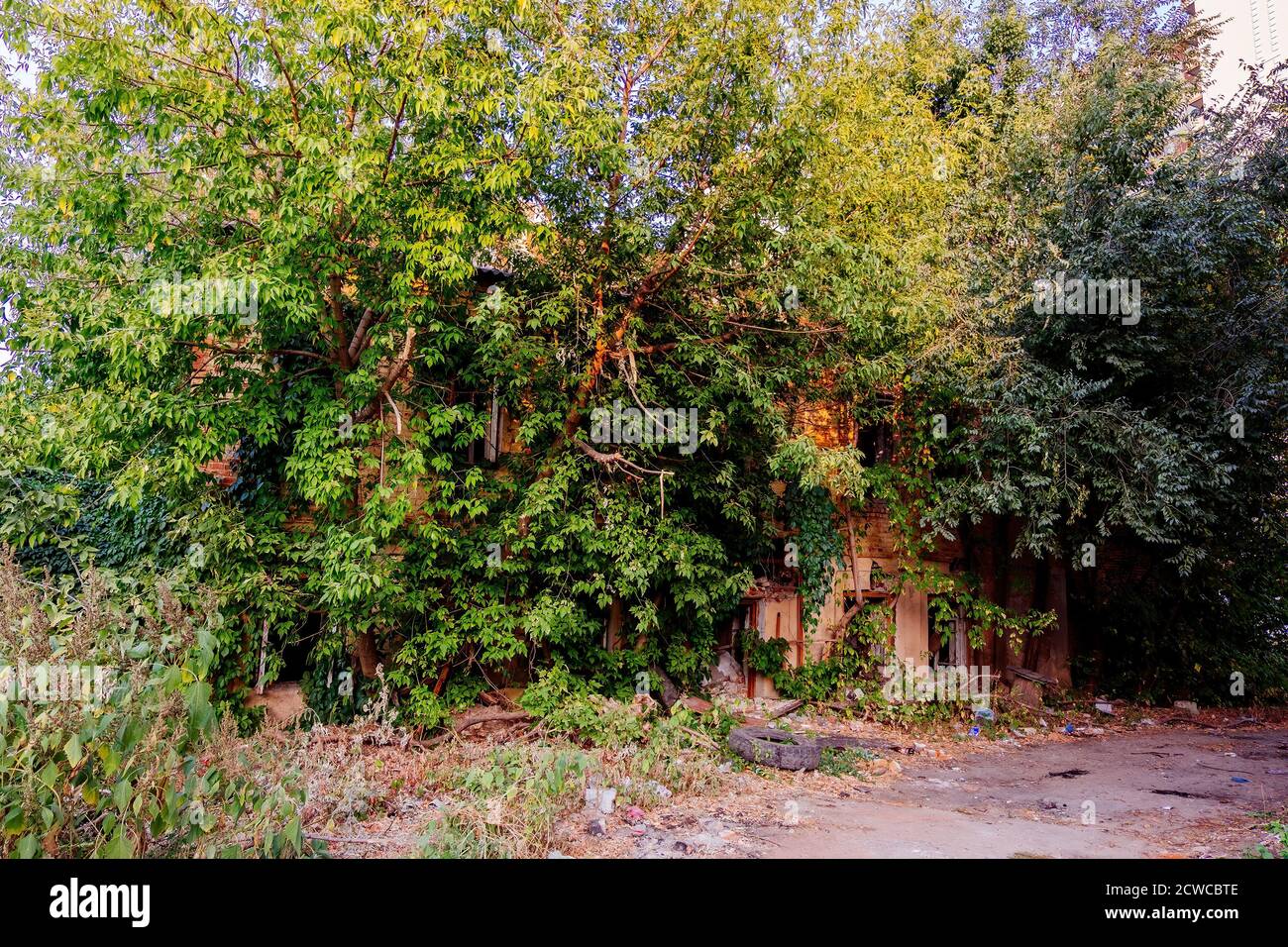 Overgrown house hi-res stock photography and images - Alamy