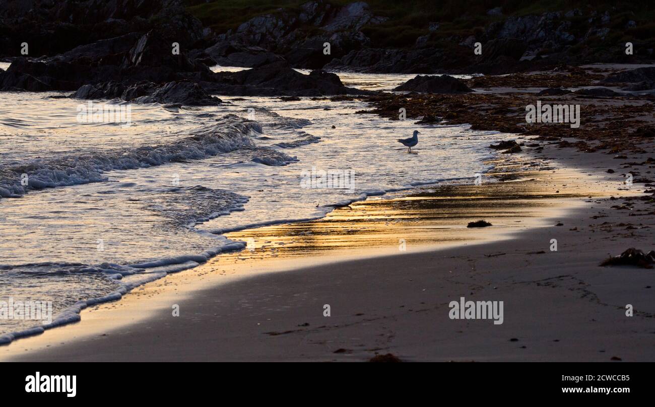 Port ellen bay hi-res stock photography and images - Alamy