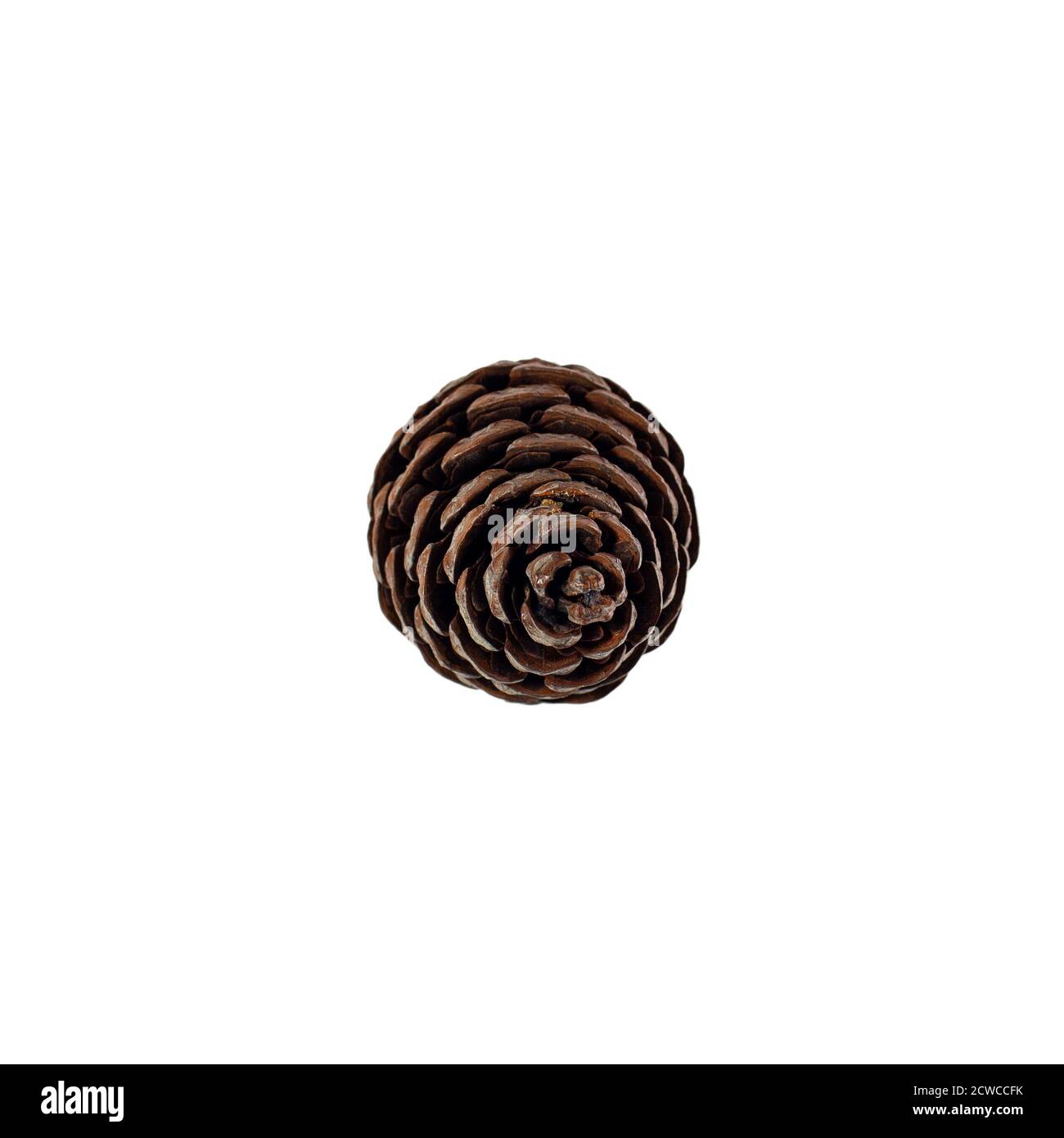 Celebrate cone hi-res stock photography and images - Alamy