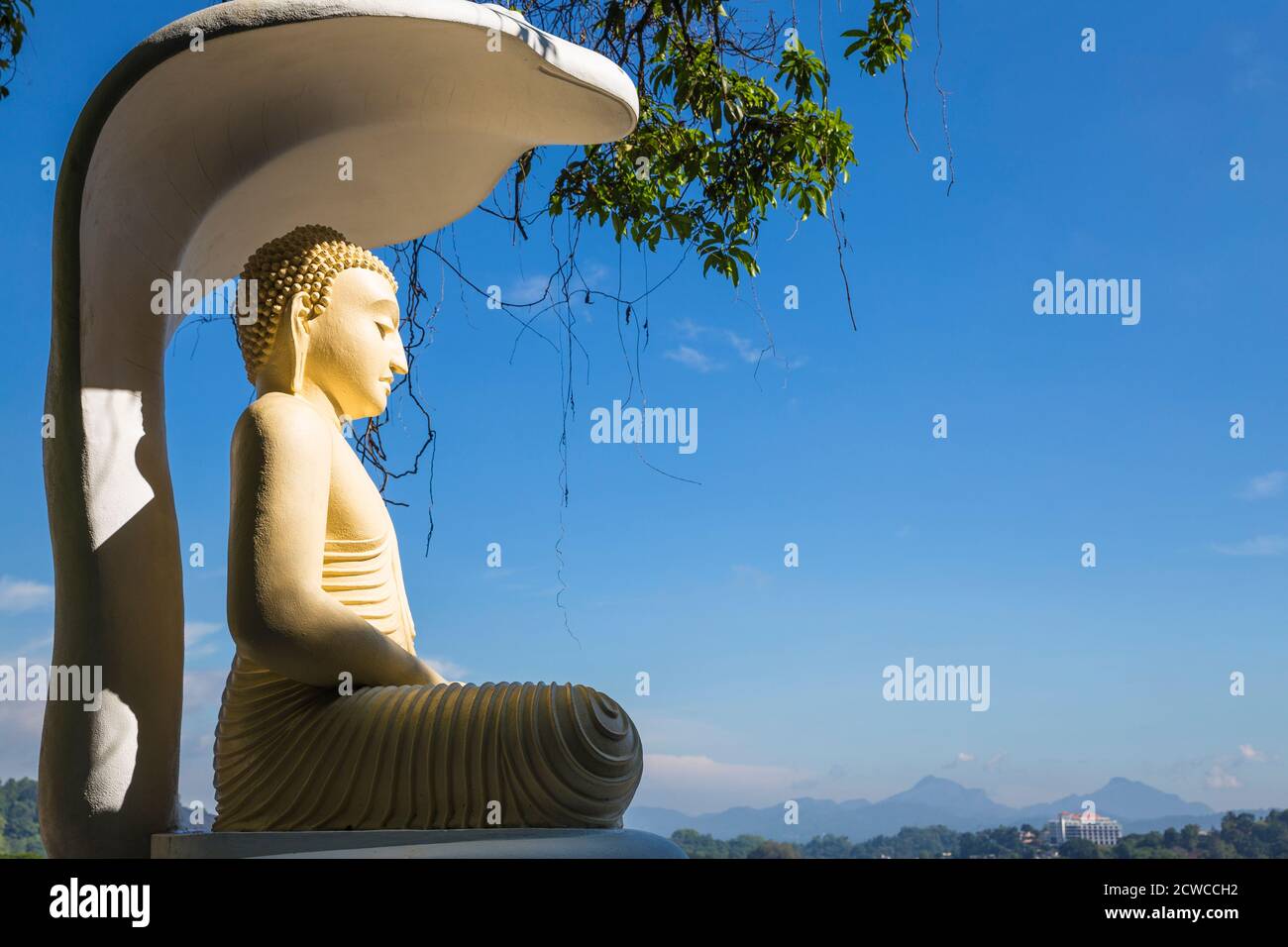 Sri Lanka, Kandy, Buddha statue Stock Photo - Alamy