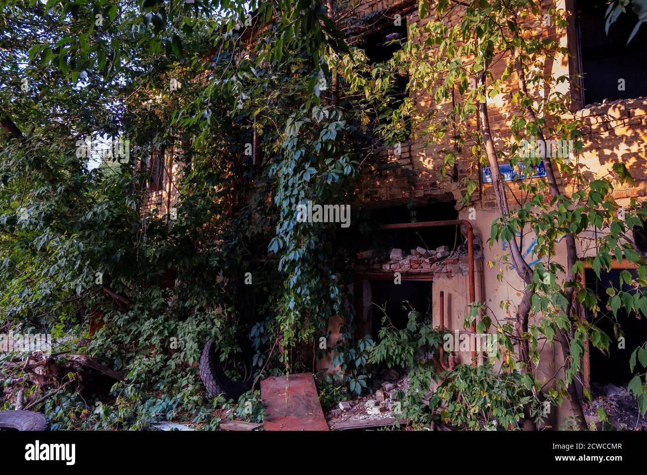 Old abandoned ruined overgrown house Stock Photo - Alamy